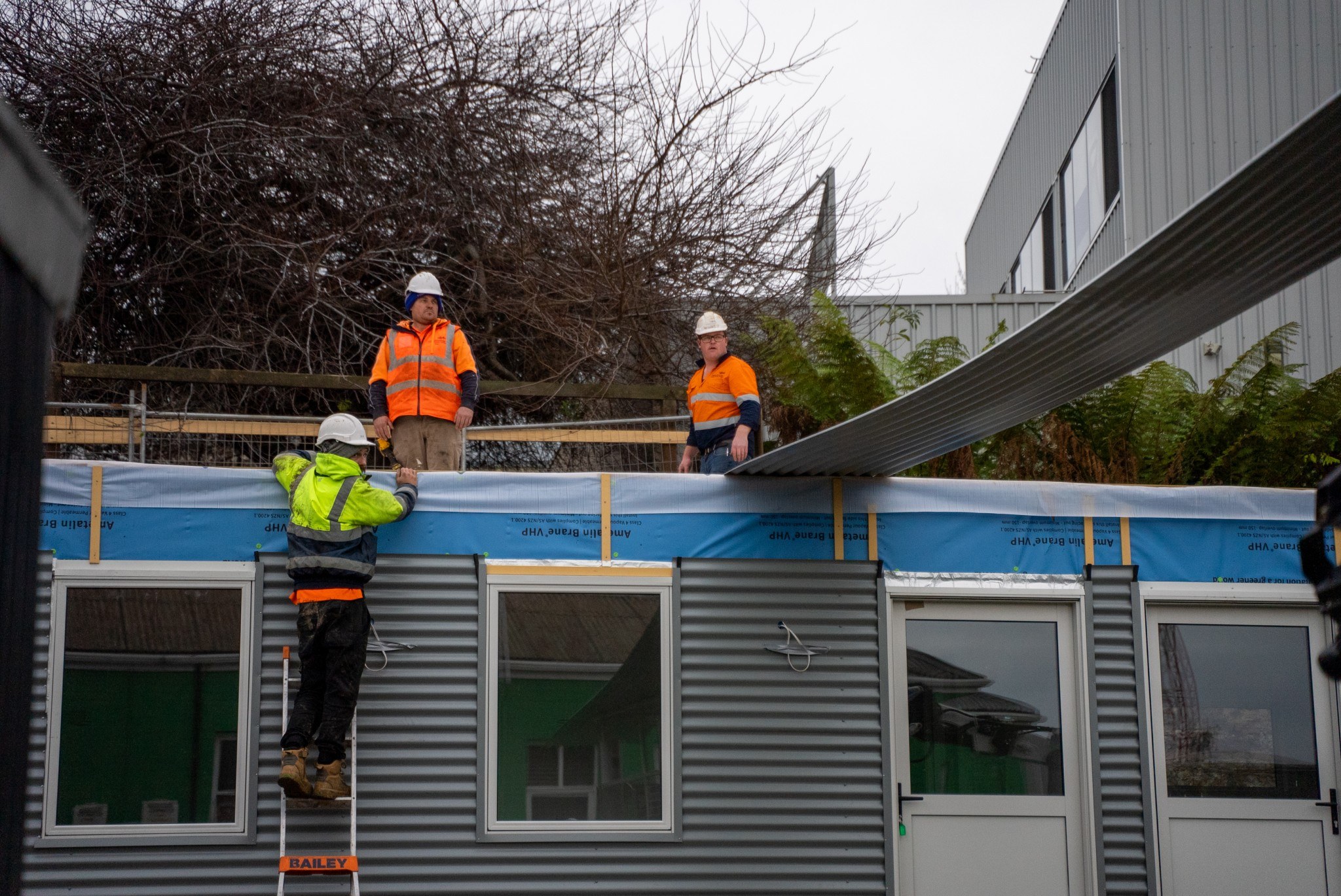 Index of /volumes/images/Pickled-Frog